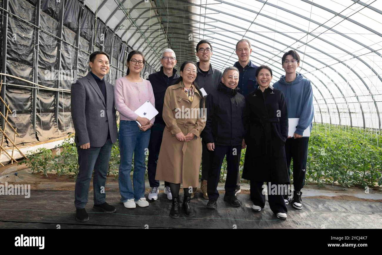 Peking, China. Oktober 2024. Apple CEO Tim Cook (3. L) und Jeff ...