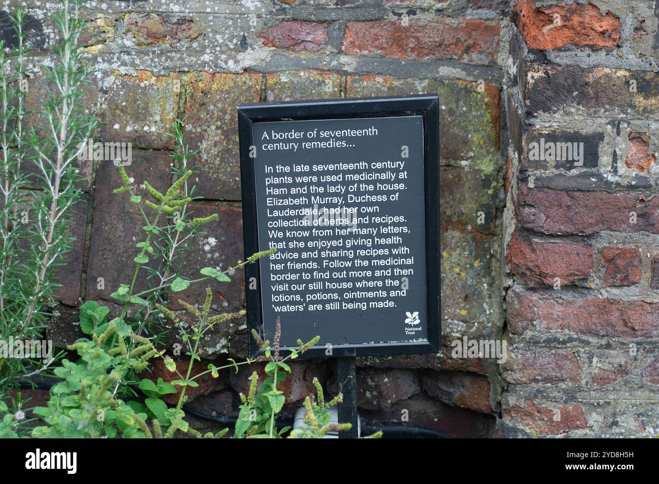 Ham, Richmond-upon-Thames, Surrey, Großbritannien. Oktober 2024. Ein ...