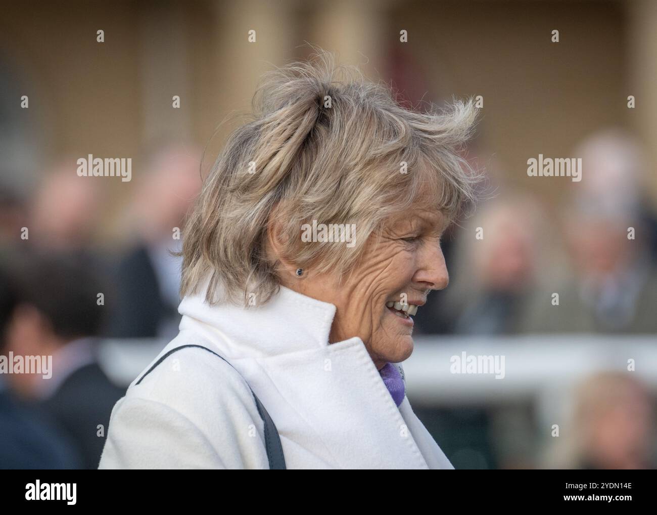 Futurity trophy 2024 auf der doncaster rennbahn -Fotos und ...