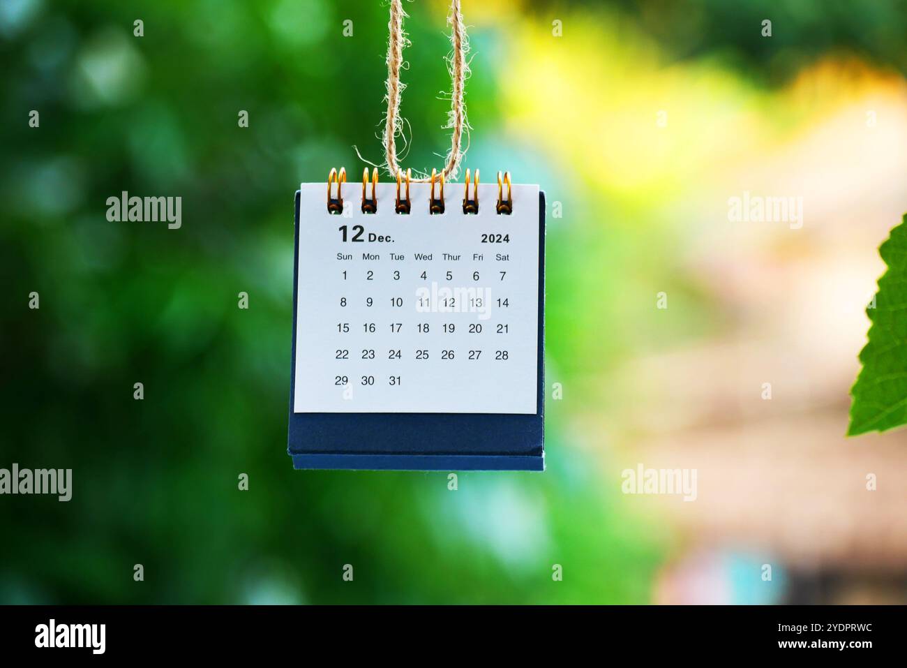 Der Kalender für Dezember 2024 hängt mit einem Bokeh-Garten Hintergrund. Auf Wiedersehen 2024 ...