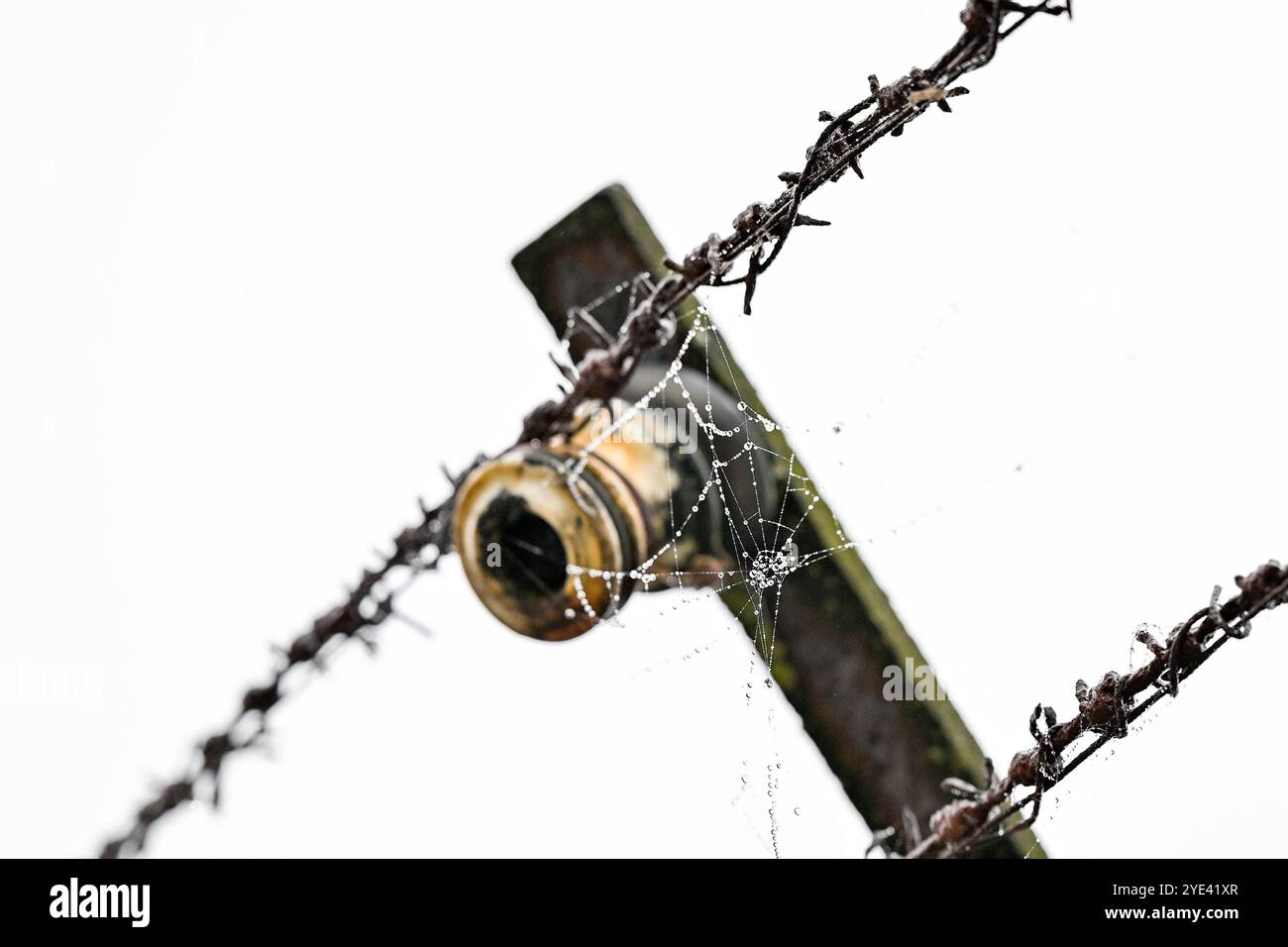 KZ Gedenkstaette Mauthausen, Gedenkstätte Konzentrationslager 29.10. ...