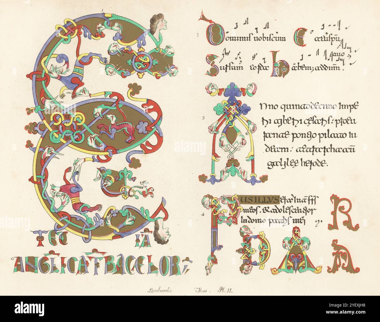 Apokrypher psalm von david -Fotos und -Bildmaterial in hoher Auflösung ...