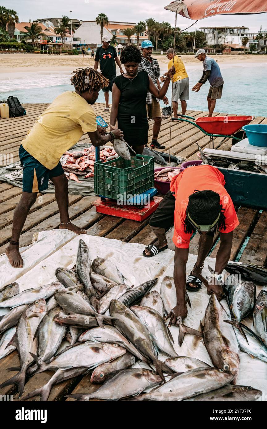 Frischer fisch und fischer in santa maria -Fotos und -Bildmaterial in ...
