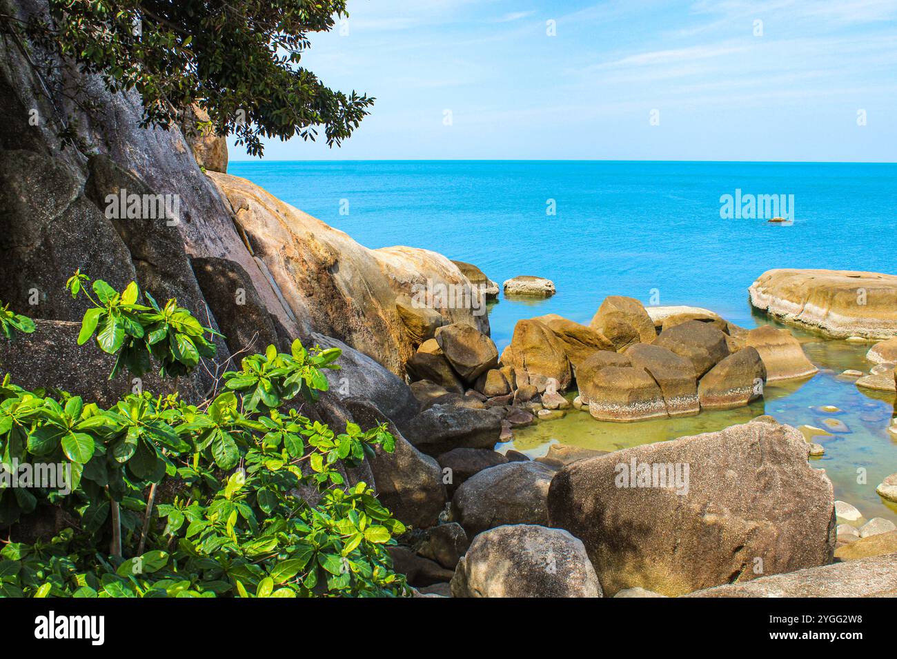 Weibliche genitalien -Fotos und -Bildmaterial in hoher Auflösung – Alamy