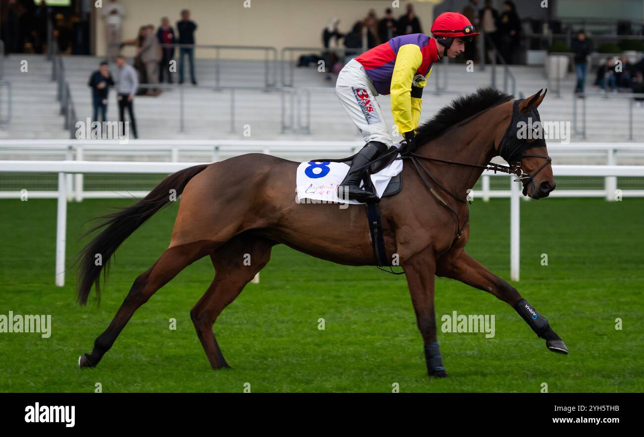David pipe brokatrennen -Fotos und -Bildmaterial in hoher Auflösung – Alamy