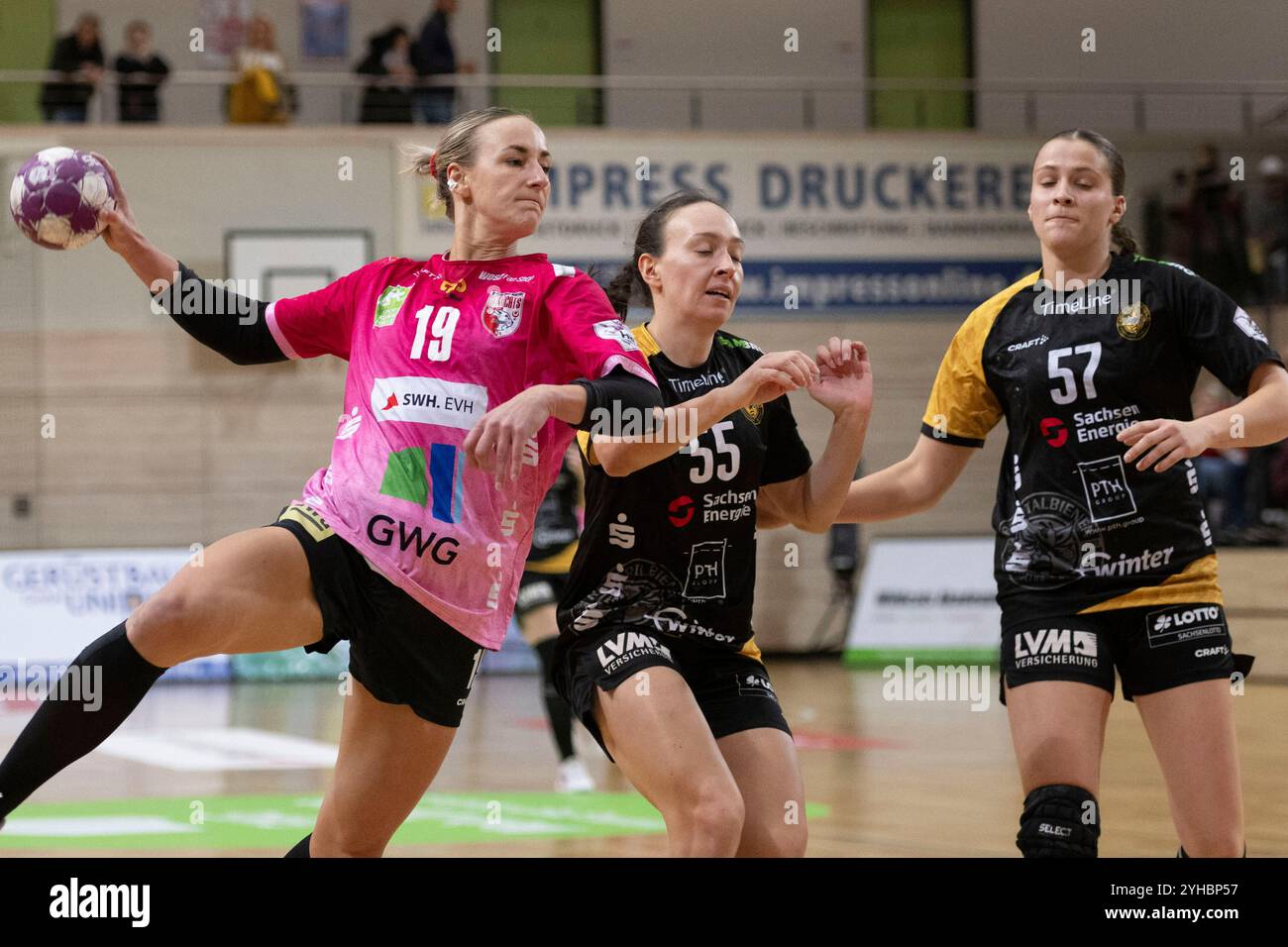 Halle, Deutschland. November 2024. Halle, Deutschland 10. November 2024 ...