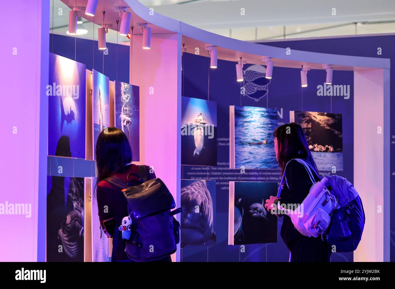 Baku, Aserbaidschan. November 2024. Die Teilnehmer sehen eine Fotoausstellung zum Schutz der ...