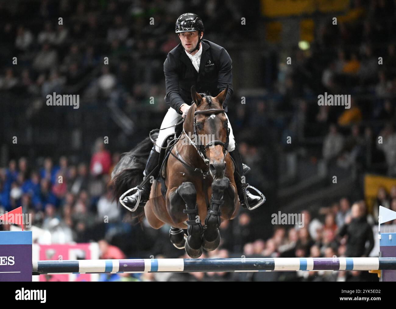 Stuttgart, Deutschland. November 2024. Der deutsche Reiter Richard ...