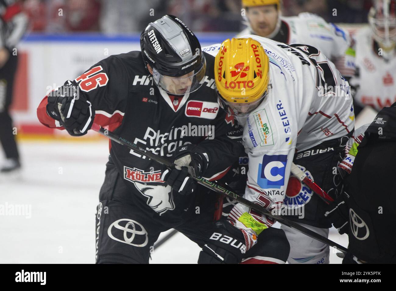 Dominik uher fischtown pinguine bremerhaven -Fotos und -Bildmaterial in ...