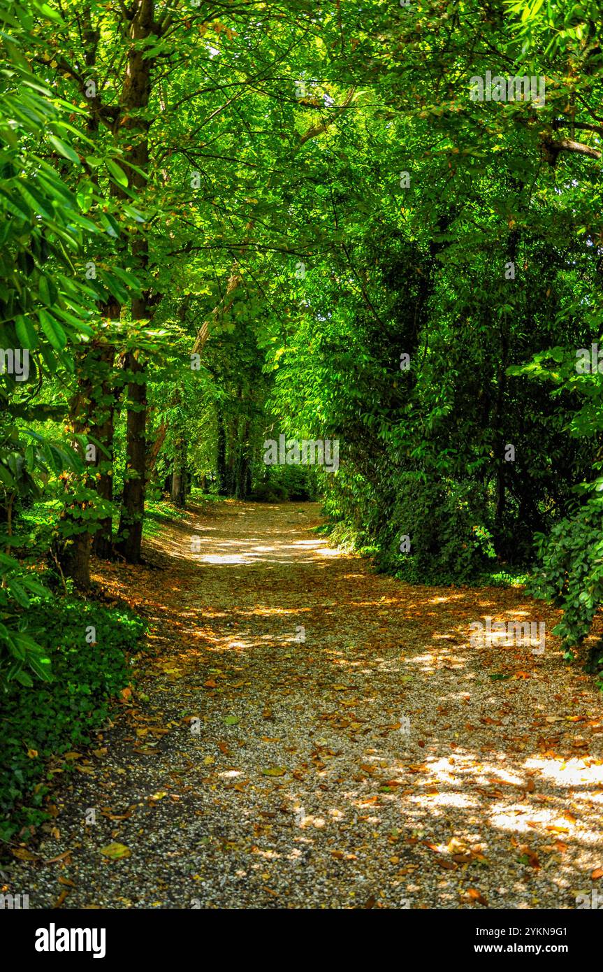 Der Garten der Villa Savoye, ein wahres Meisterwerk von Le Corbusier und dem internationalen ...