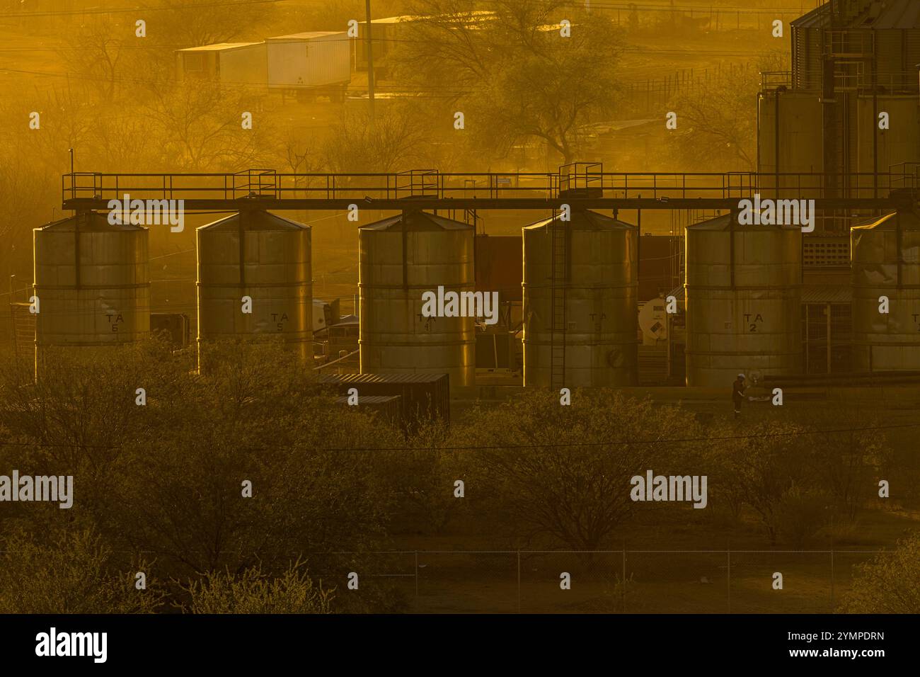 Container bei Sonnenuntergang von der Selecta Group für die ...