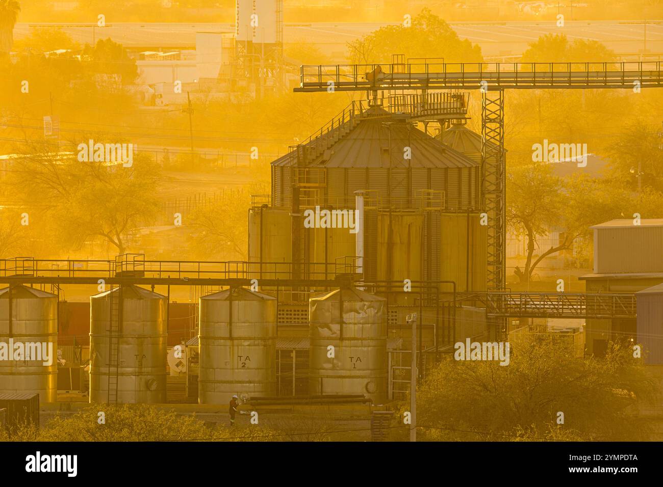 Container bei Sonnenuntergang von der Selecta Group für die ...