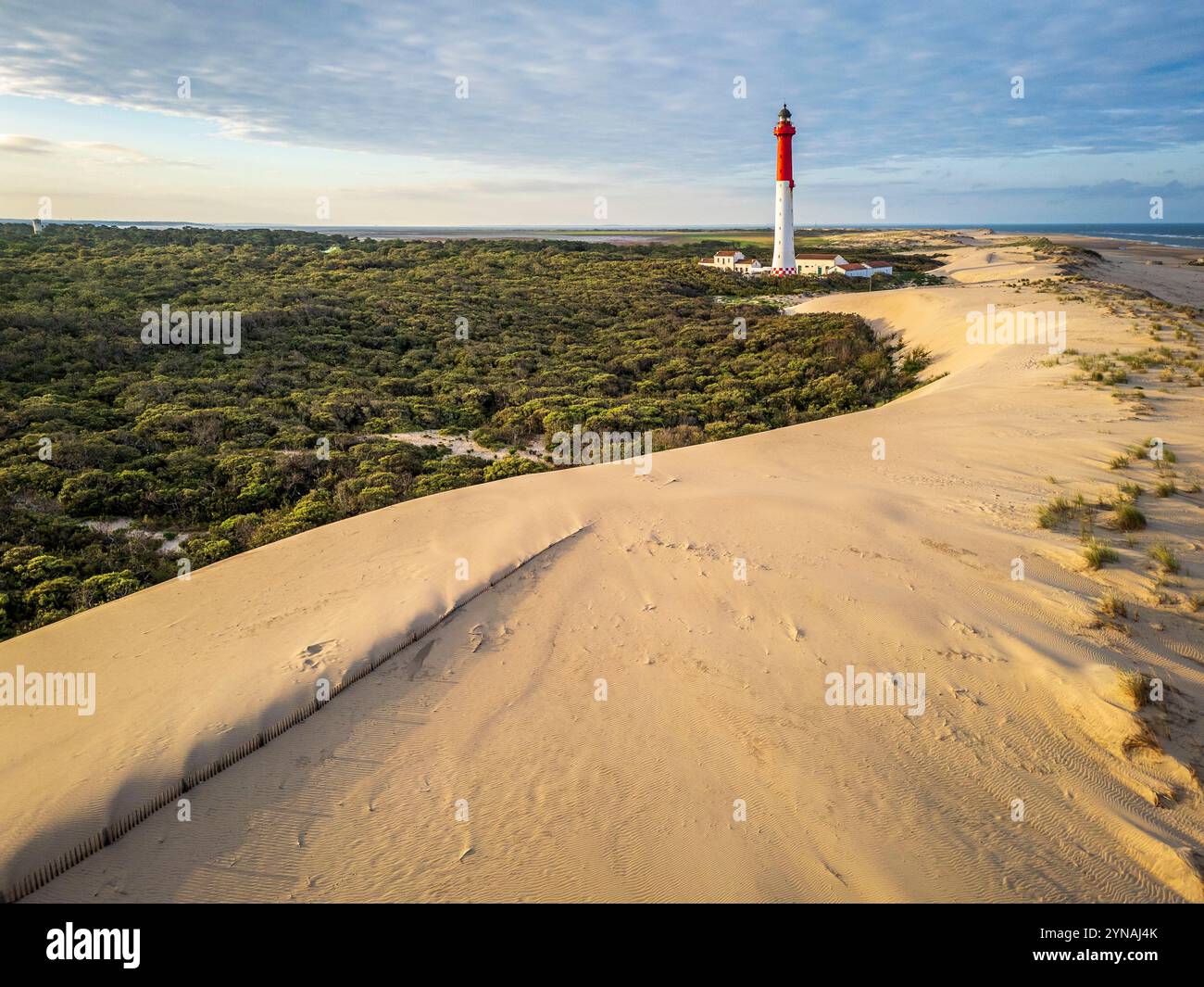 Frankreich, Charente-Maritime, die Côte Sauvage, Pointe de la Coubre ...