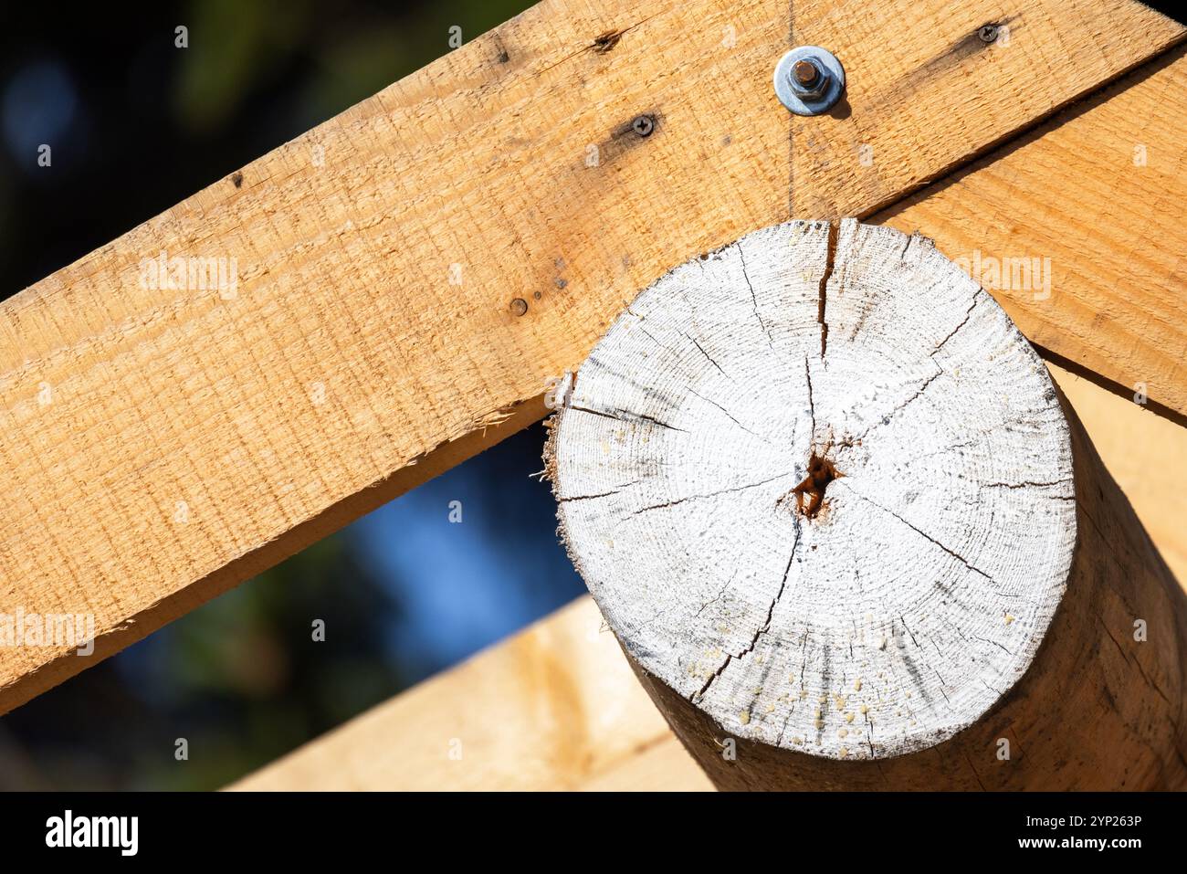 Das Blockhaus befindet sich im Bau. Hintergrundfoto mit Holzsparren und ...