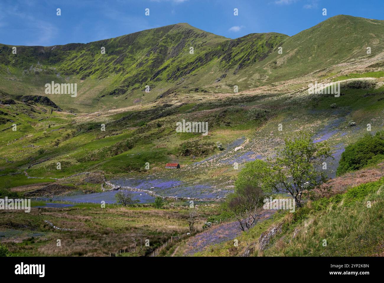 Wanderwege im eryri nationalpark -Fotos und -Bildmaterial in hoher ...