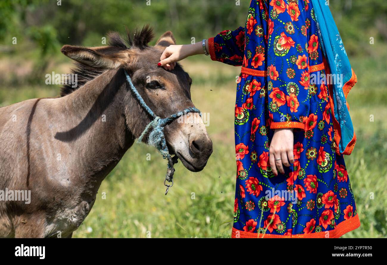 Traditionelle bindung -Fotos und -Bildmaterial in hoher Auflösung – Alamy