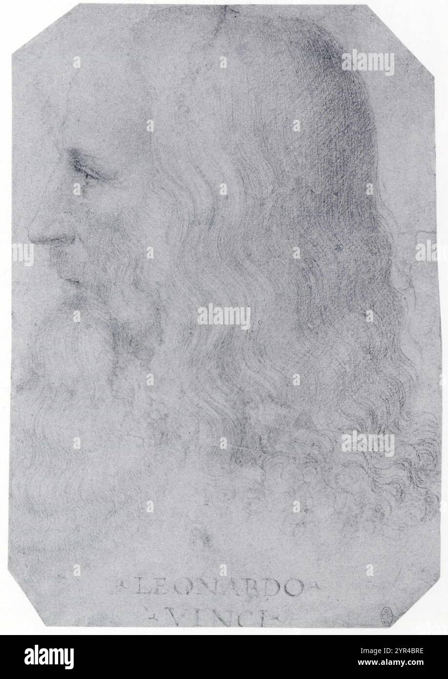 Francesco da vinci -Fotos und -Bildmaterial in hoher Auflösung – Alamy