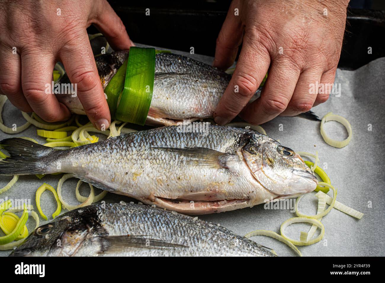 Die Hände des Küchenchefs wickeln den dorado-Fisch in Lauch- oder ...