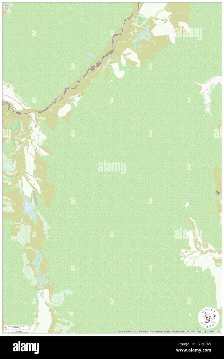 SNOWDON FOREST, , Neuseeland, Südland, s 45 23' 18''', N 168 0' 36 ...