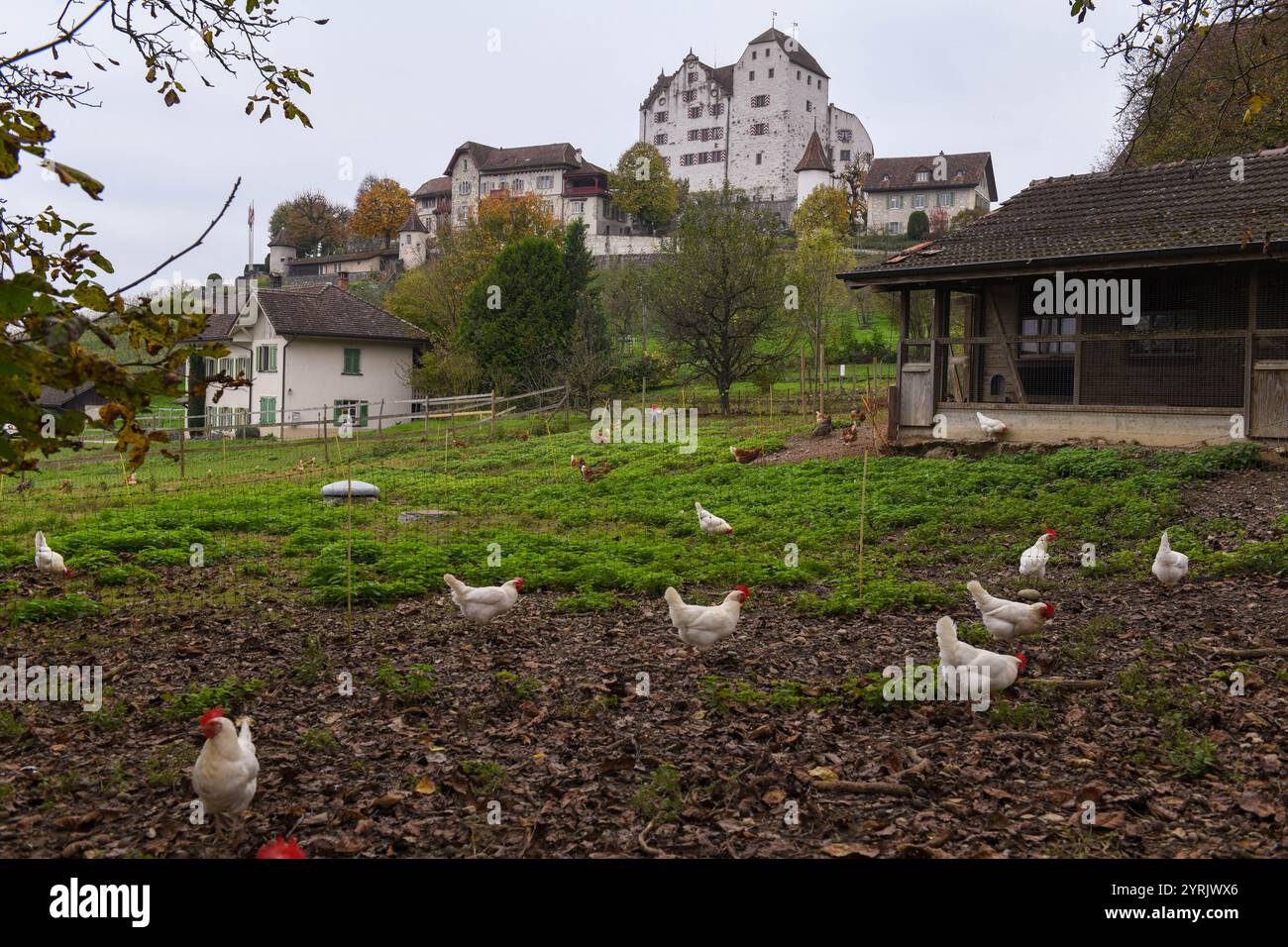 Schloss wildegg -Fotos und -Bildmaterial in hoher Auflösung – Alamy