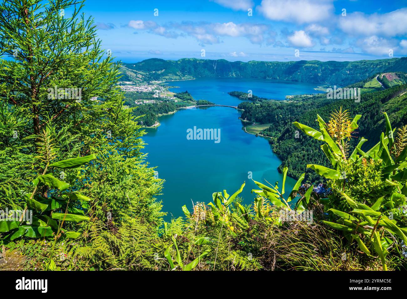 Ein Blick durch eine Lücke in der Vegetation in Richtung der grünen und ...