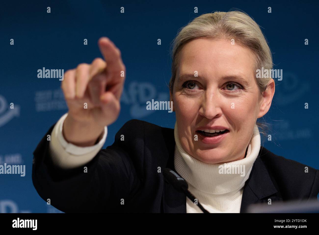 Berlin, Deutschland. Dezember 2024. Alice Weidel (AfD ...