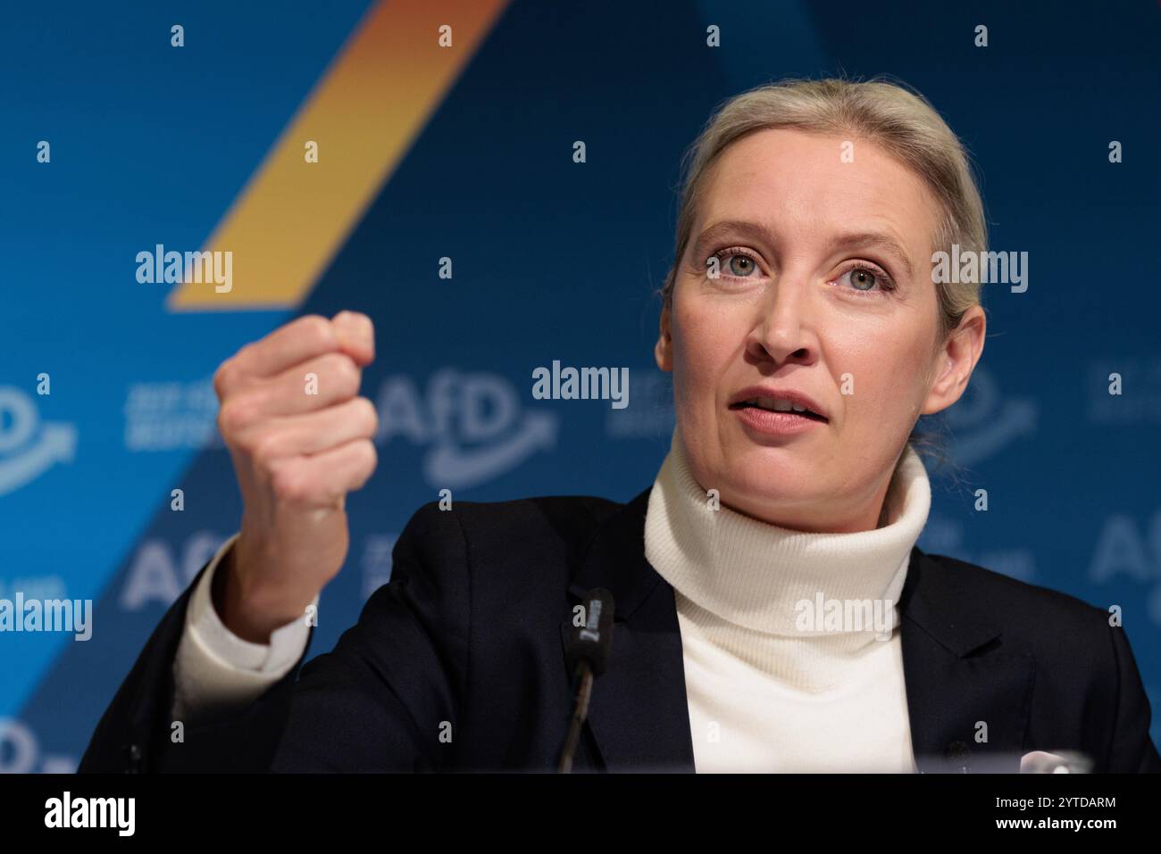 Berlin, Deutschland. Dezember 2024. Alice Weidel (AfD ...