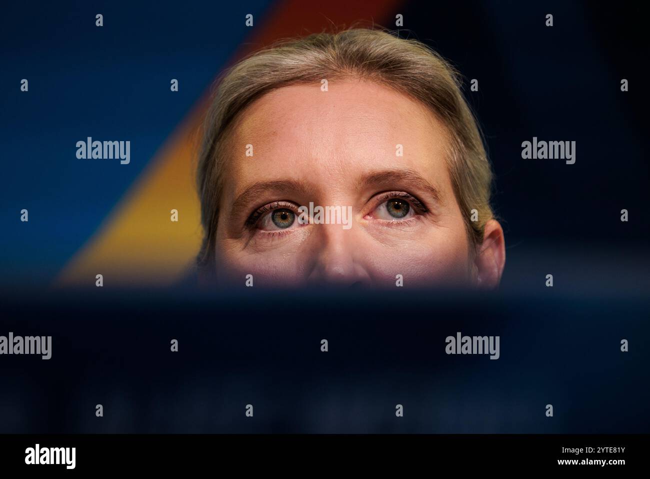 Berlin, Deutschland. Dezember 2024. Alice Weidel (AfD ...