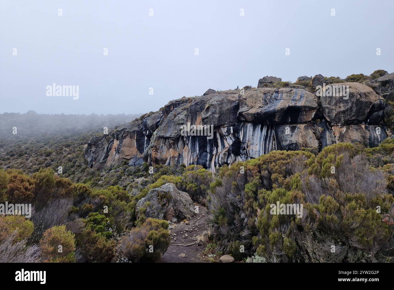 Daressalam Themenfoto: Reise, Afrika, Tansania, Kilimandscharo, 07.12. ...