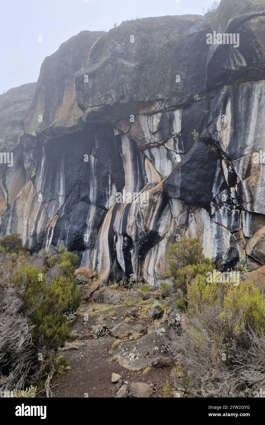 Daressalam Themenfoto: Reise, Afrika, Tansania, Kilimandscharo, 07.12. ...