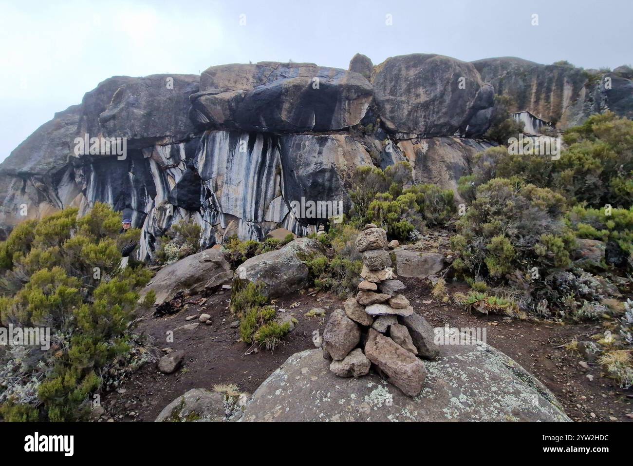 Daressalam Themenfoto: Reise, Afrika, Tansania, Kilimandscharo, 07.12. ...