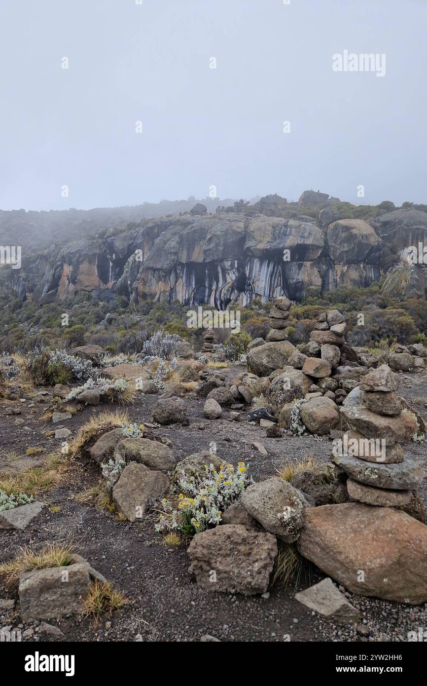 Daressalam Themenfoto: Reise, Afrika, Tansania, Kilimandscharo, 07.12. ...