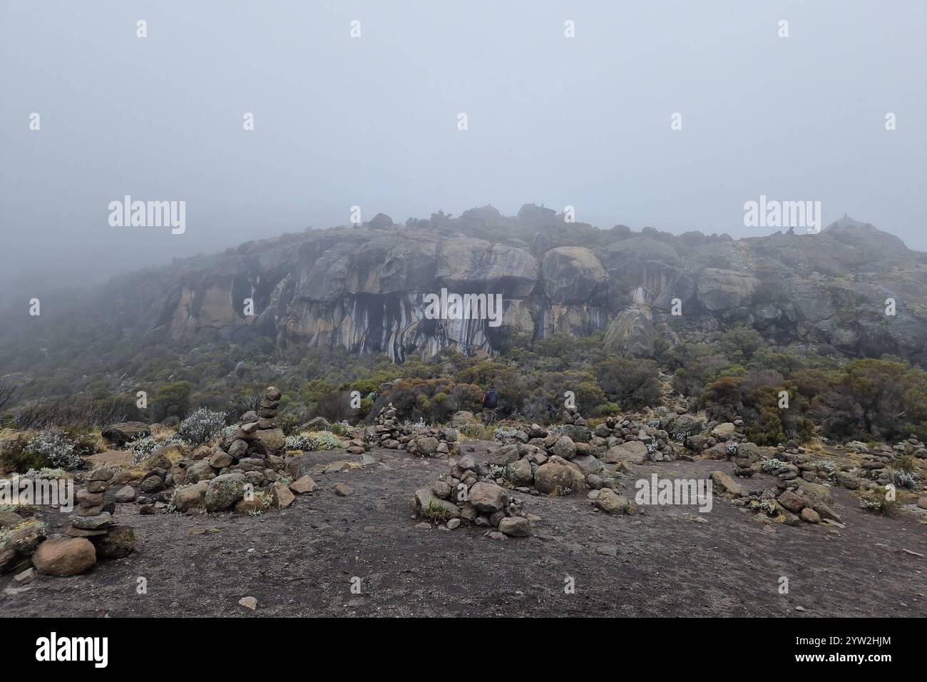 Daressalam Themenfoto: Reise, Afrika, Tansania, Kilimandscharo, 07.12. ...