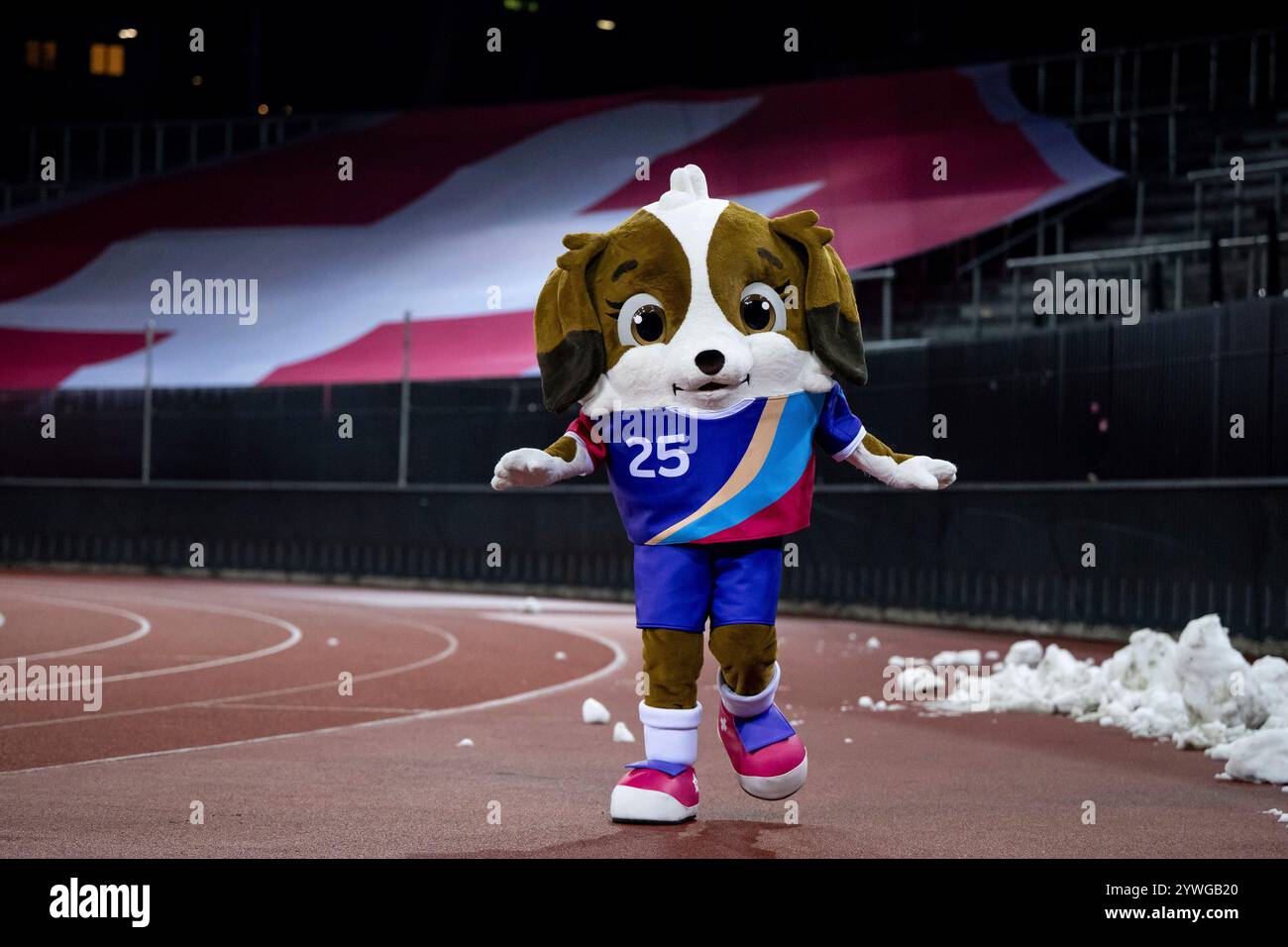 Maskottchen Maddli (Berner Sennenhund Welpe), SUI, Schweiz vs ...