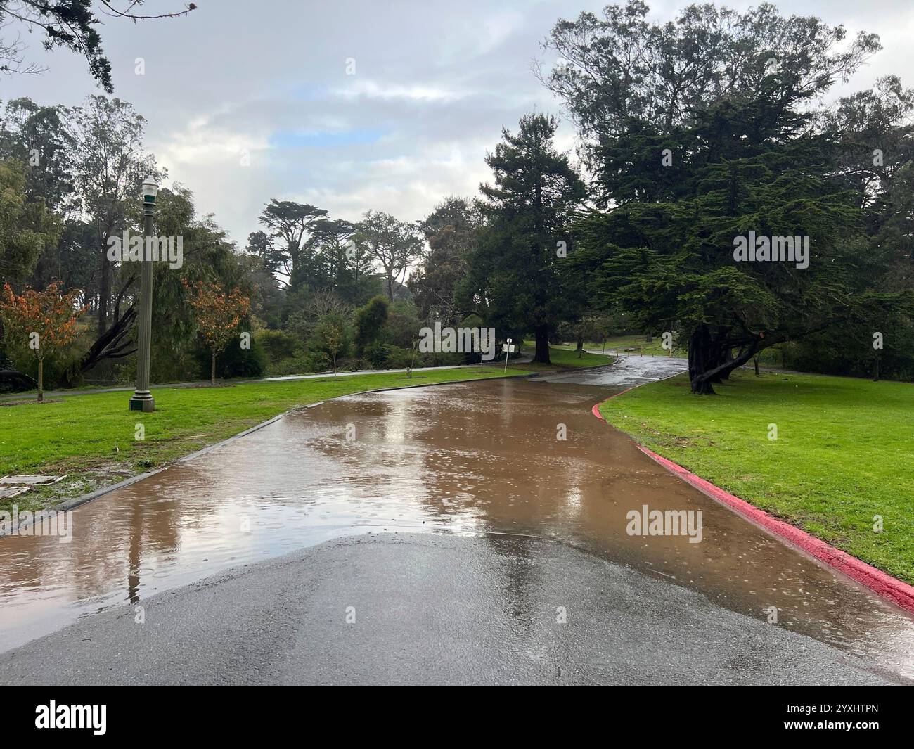 Flooding and tree damage remain near Chain of Lakes in San Francisco's ...