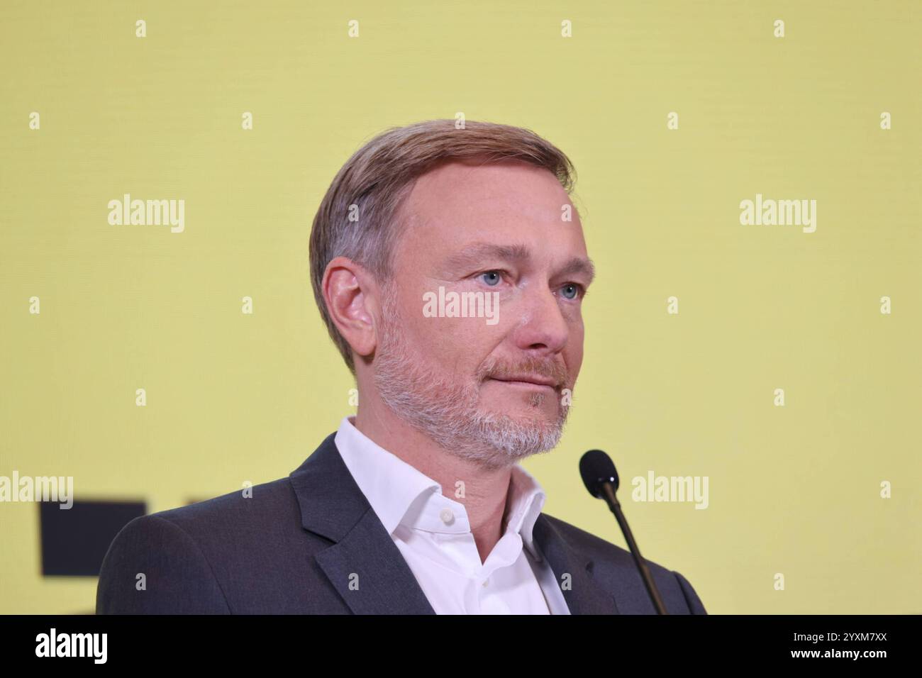 Fdp wahlprogramm -Fotos und -Bildmaterial in hoher Auflösung – Alamy