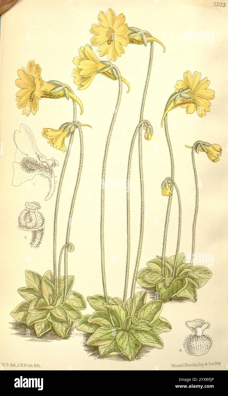 Dargestellte szenenmerkmale -Fotos und -Bildmaterial in hoher Auflösung ...