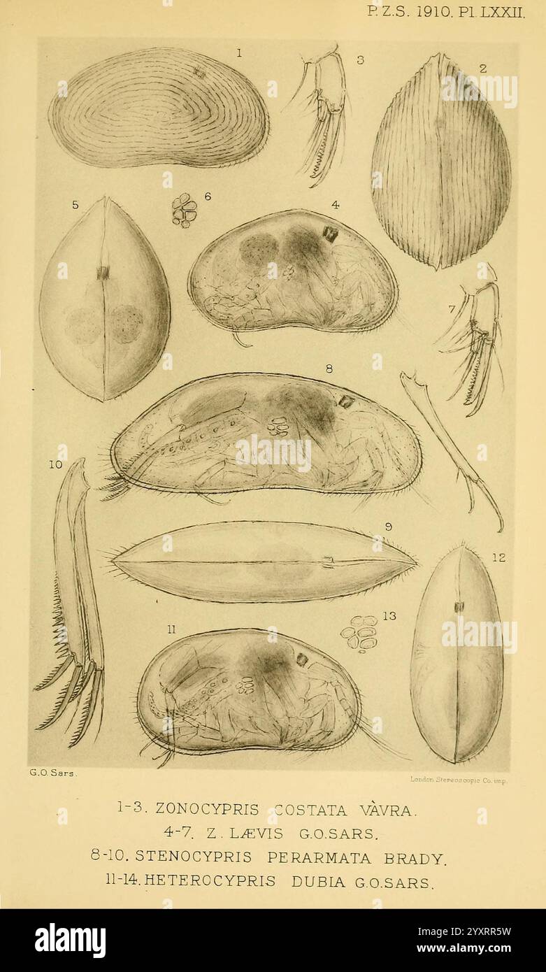 Hervorhebung von drei unterschiedlichen ansichten -Fotos und -Bildmaterial in hoher Auflösung ...