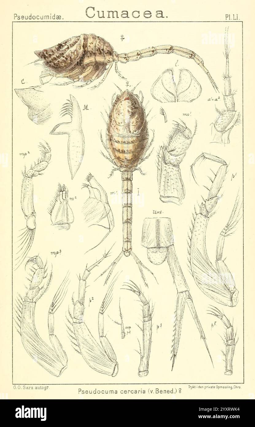 Beschriftete diagramme bieten -Fotos und -Bildmaterial in hoher ...