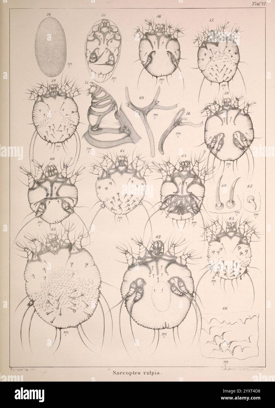 Systematische kennzeichnung -Fotos und -Bildmaterial in hoher Auflösung ...