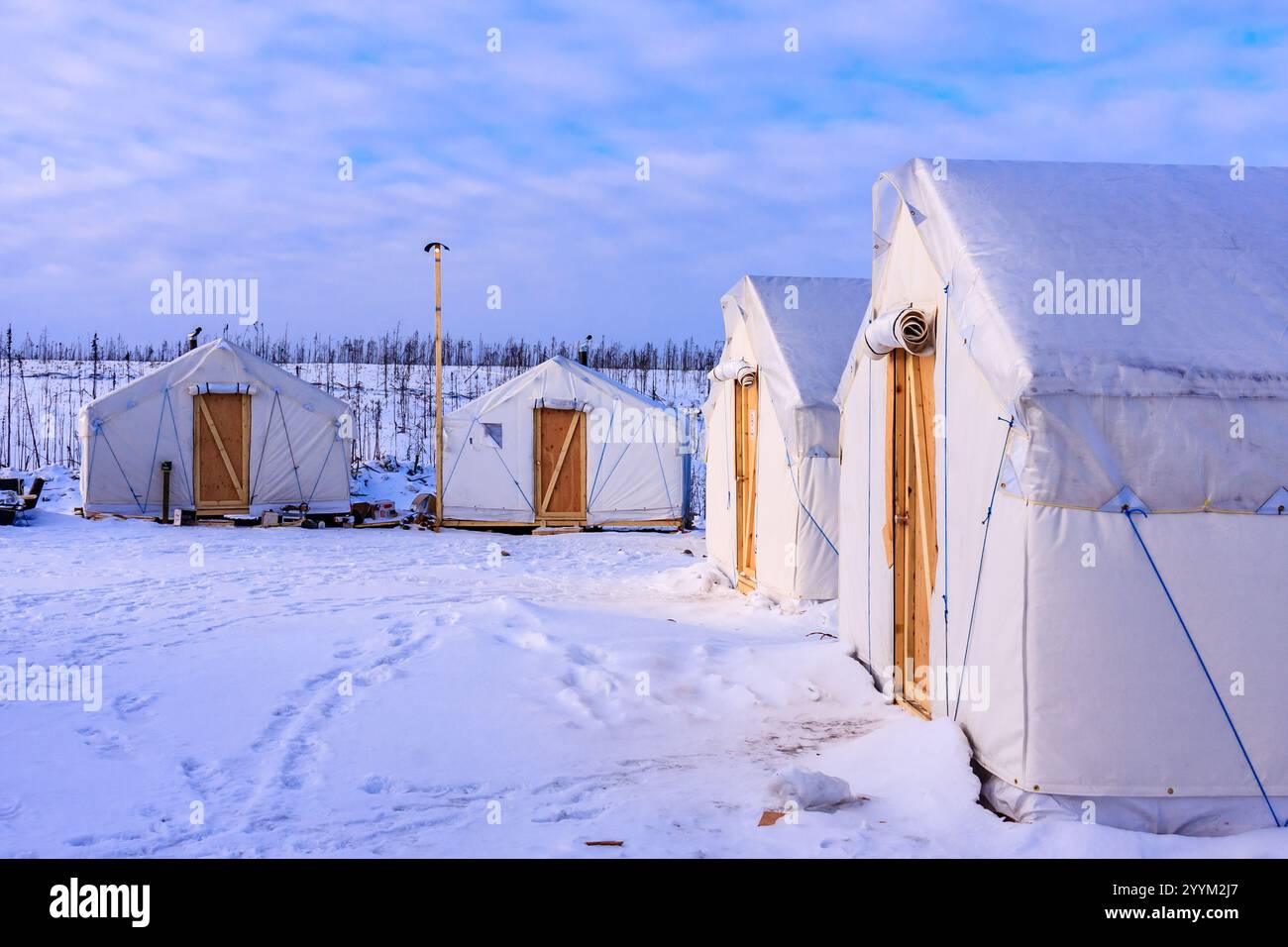 Drei weiße Zelte stehen auf einem verschneiten Feld. Die Zelte bestehen ...