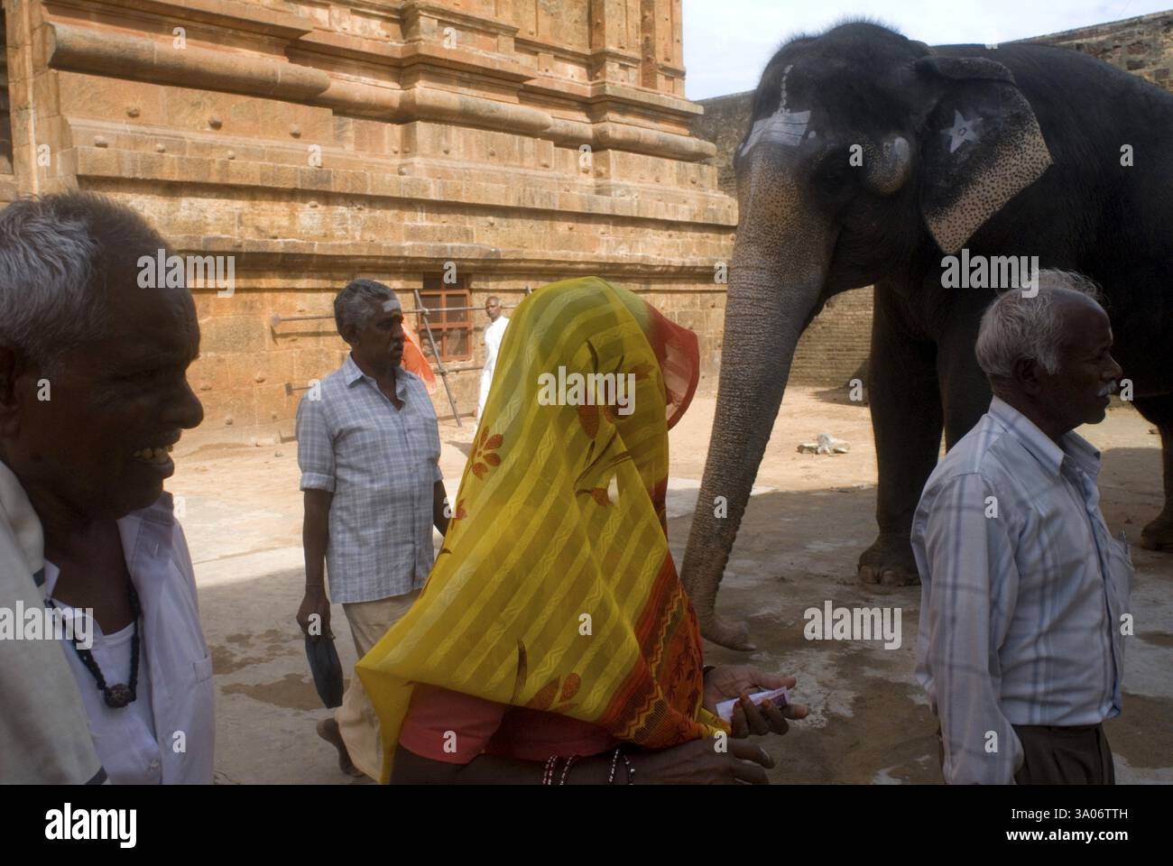 Elefant im Brihadeshwara Tempelkomplex, auch großer Tempel genannt ...