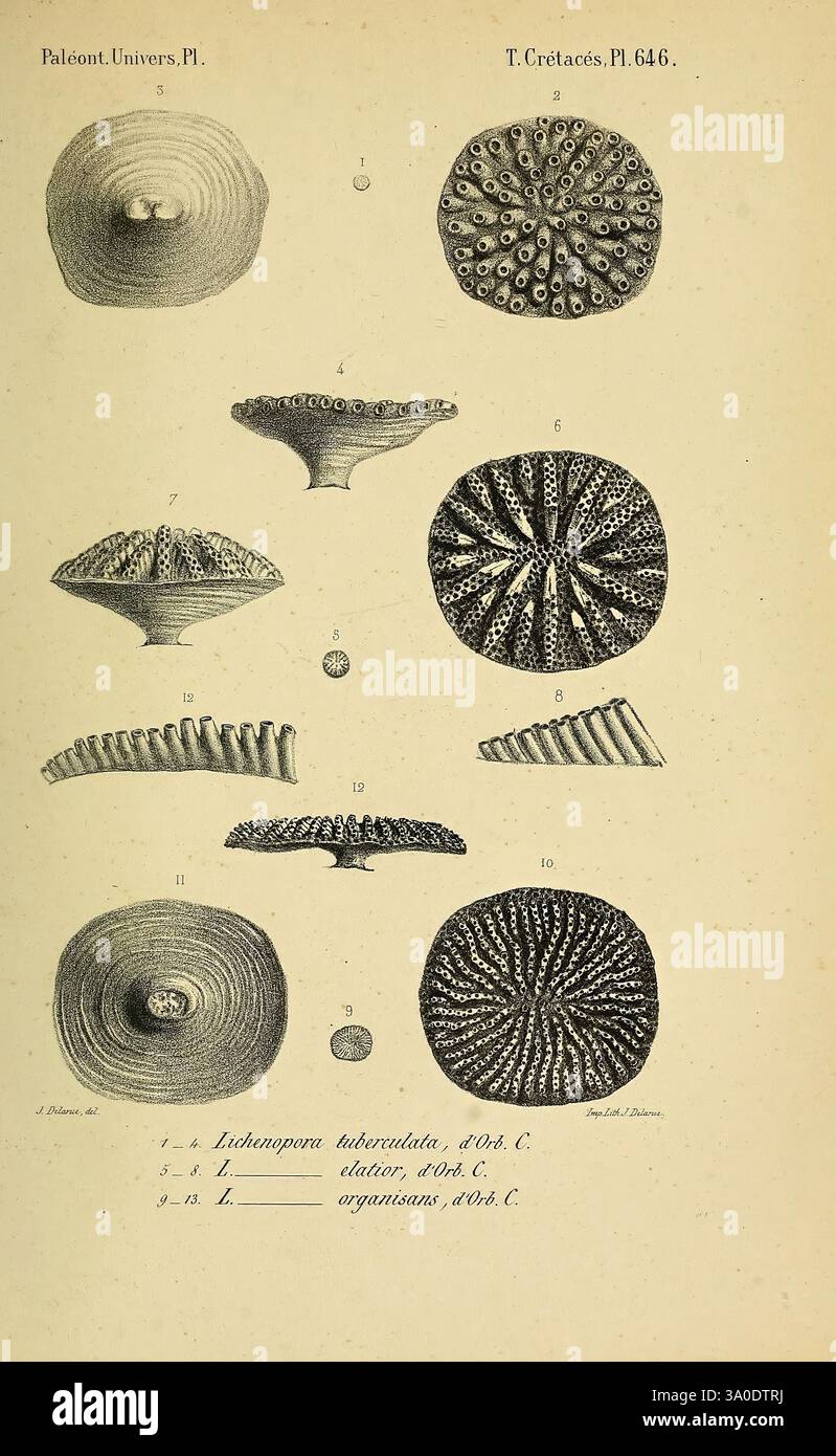Paléontologie francaise, Paris, Chez l'auteur, 1840-1894, Frankreich ...