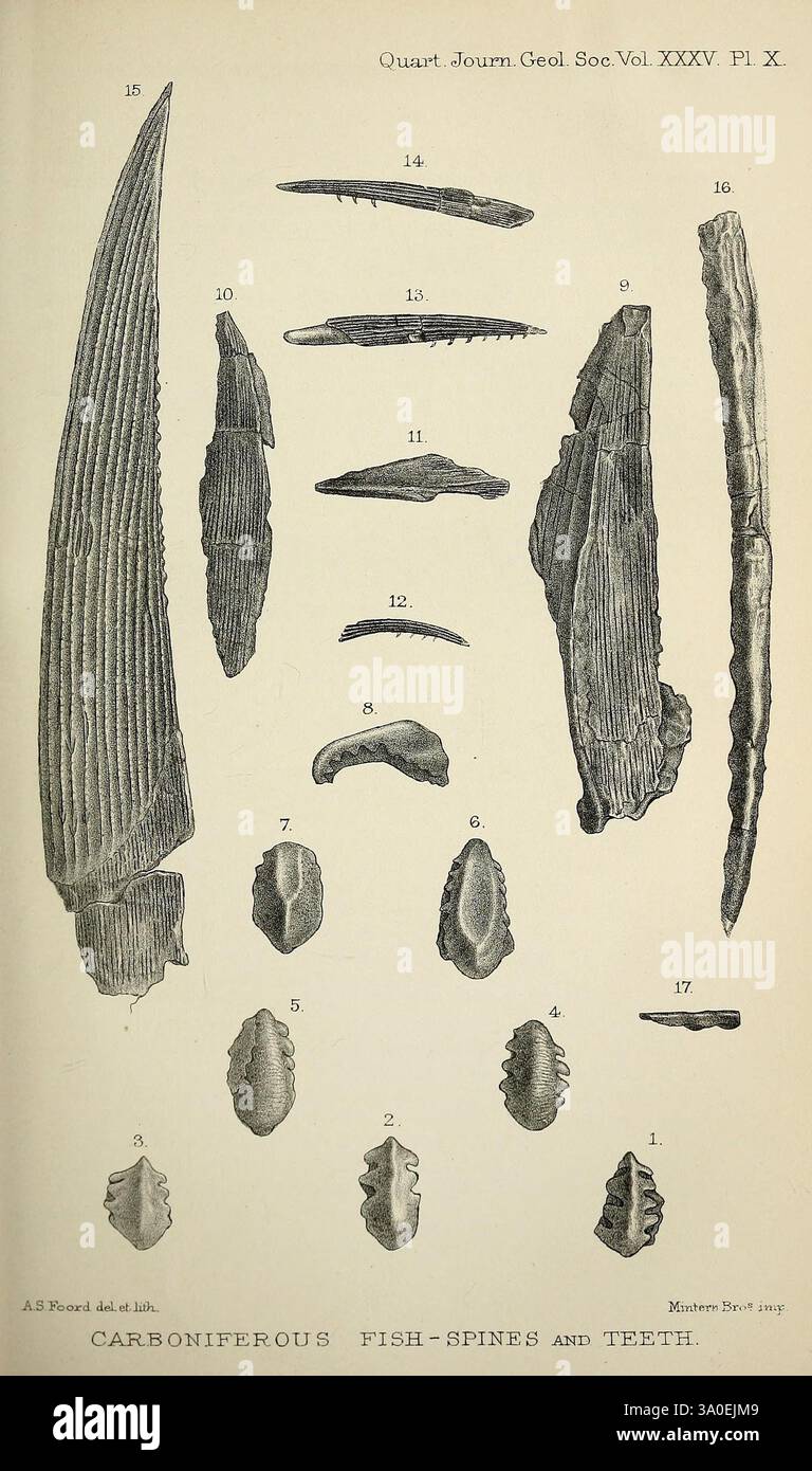 The Quarterly Journal of the Geological Society of London, v. 35 (1879 ...