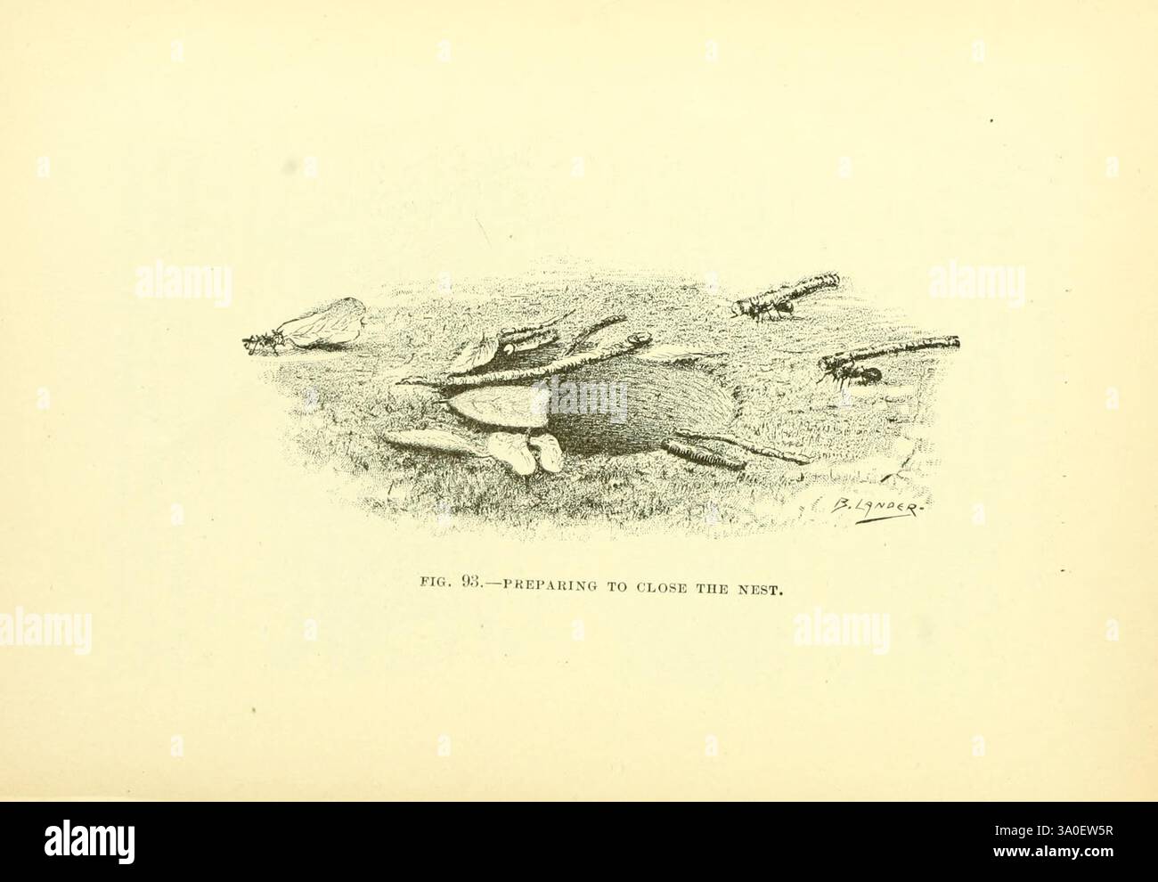 Pächter einer alten Farm, New York, Fords, Howard & Hulbert, 1885 1884 ...