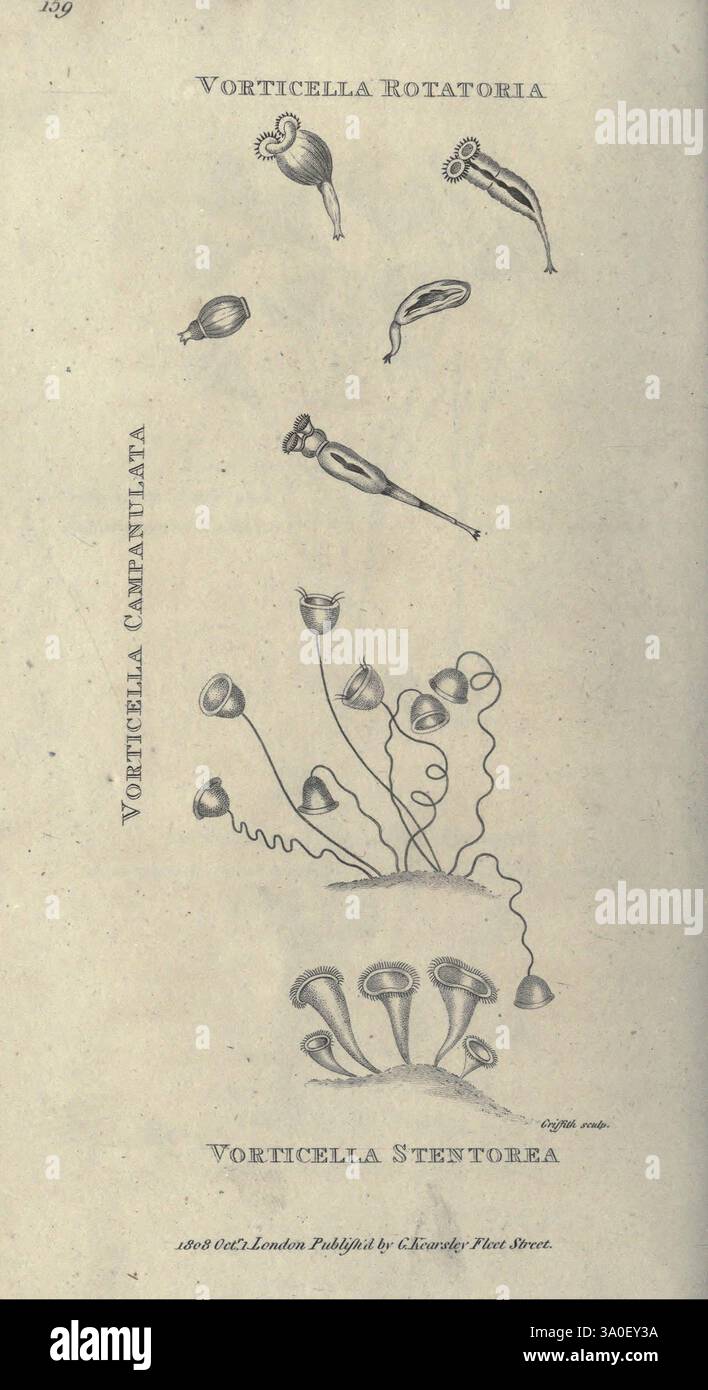 Zoologische Vorlesungen an der Royal Institution London, Kearsley, 1809 ...