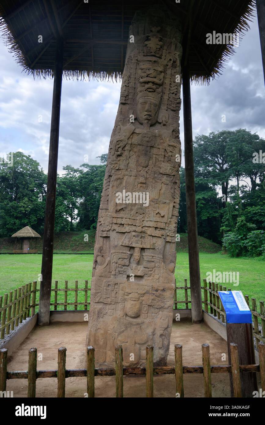 Mayan stele quirigua -Fotos und -Bildmaterial in hoher Auflösung – Alamy