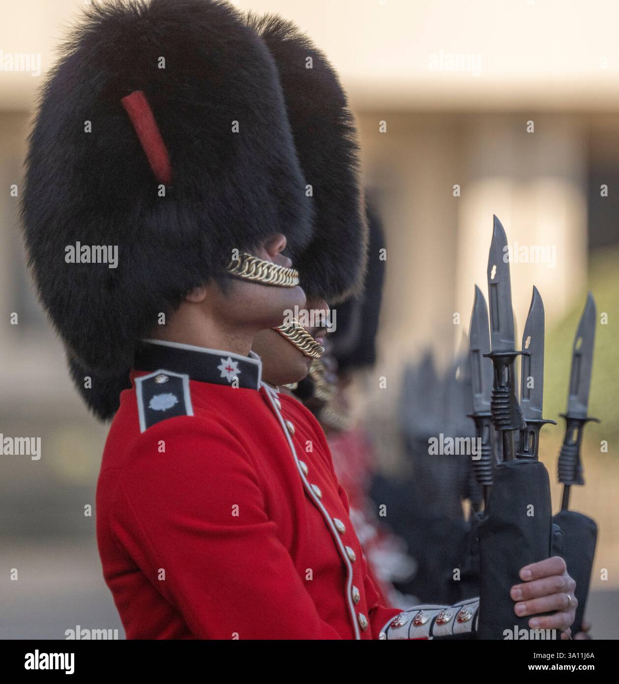 Wellington Barracks, London, Großbritannien. März 2025. Jährliche ...