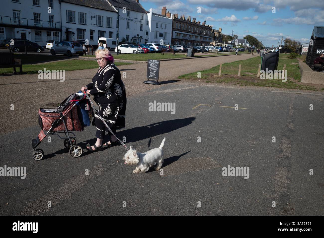 Fettleibiger hund -Fotos und -Bildmaterial in hoher Auflösung – Alamy