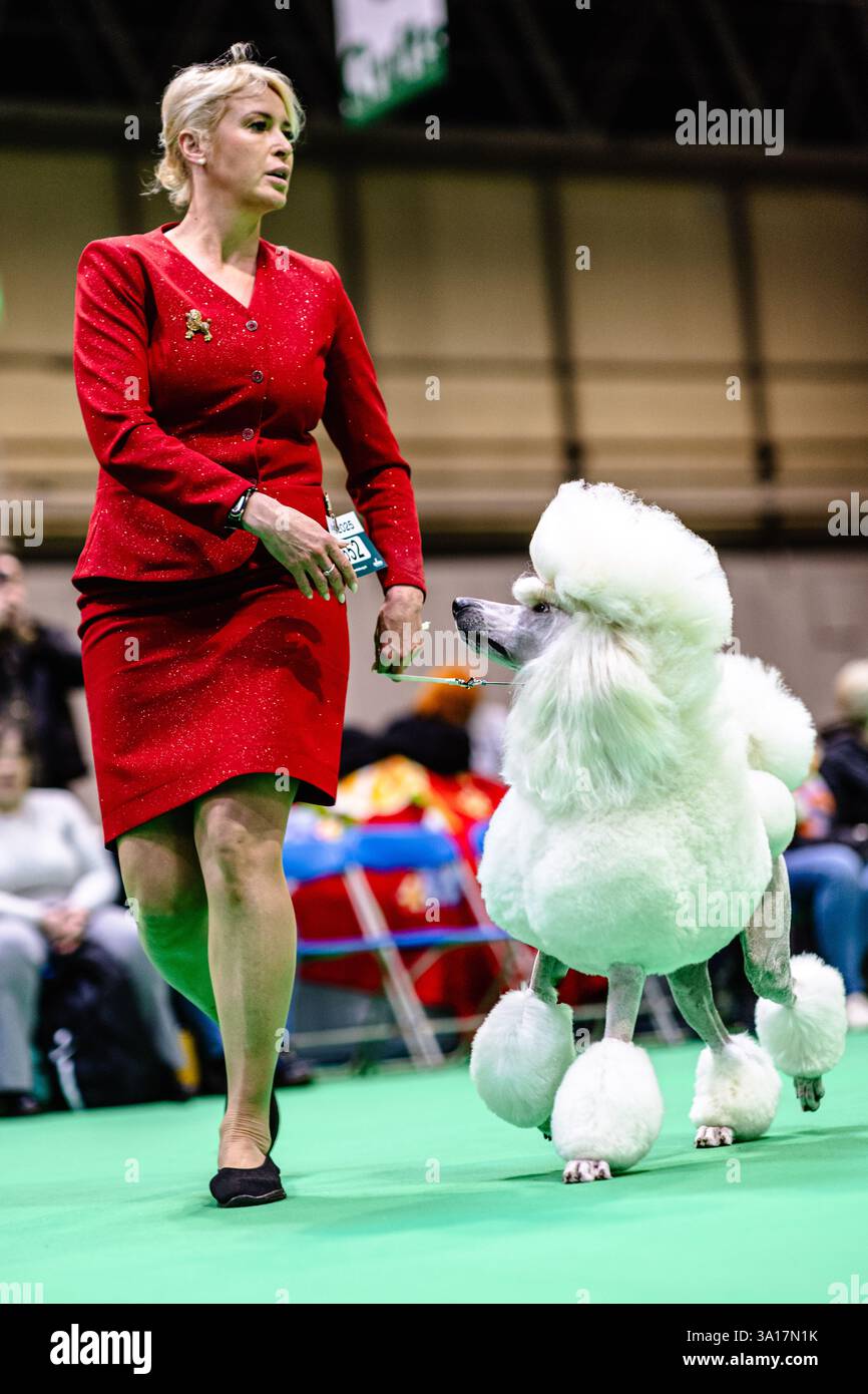 Birmingham, Großbritannien. März 2025. Birmingham, 7. März 2025. Ein ...